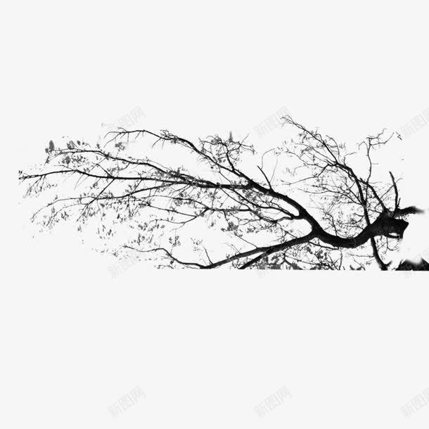 树丫png图片免费下载-素材xfflovyp-88ICON