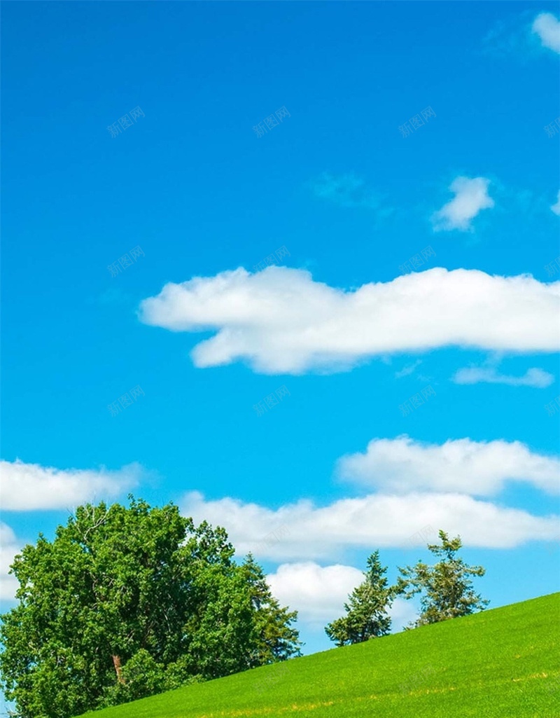 蓝天白云花卉草原H5背景背景图片免费下载-素材swathdwsc-88ICON