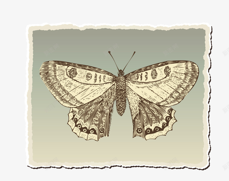 卡通图案手撕效果png图片免费下载-素材kucechci-88ICON